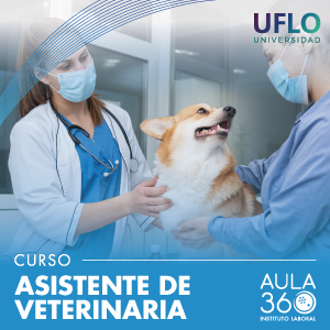 ASISTENTE DE VETERINARIA - Inicio